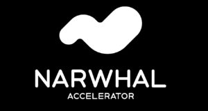 Narwhal Accelerator launches to support game dev startups - GamesBeat